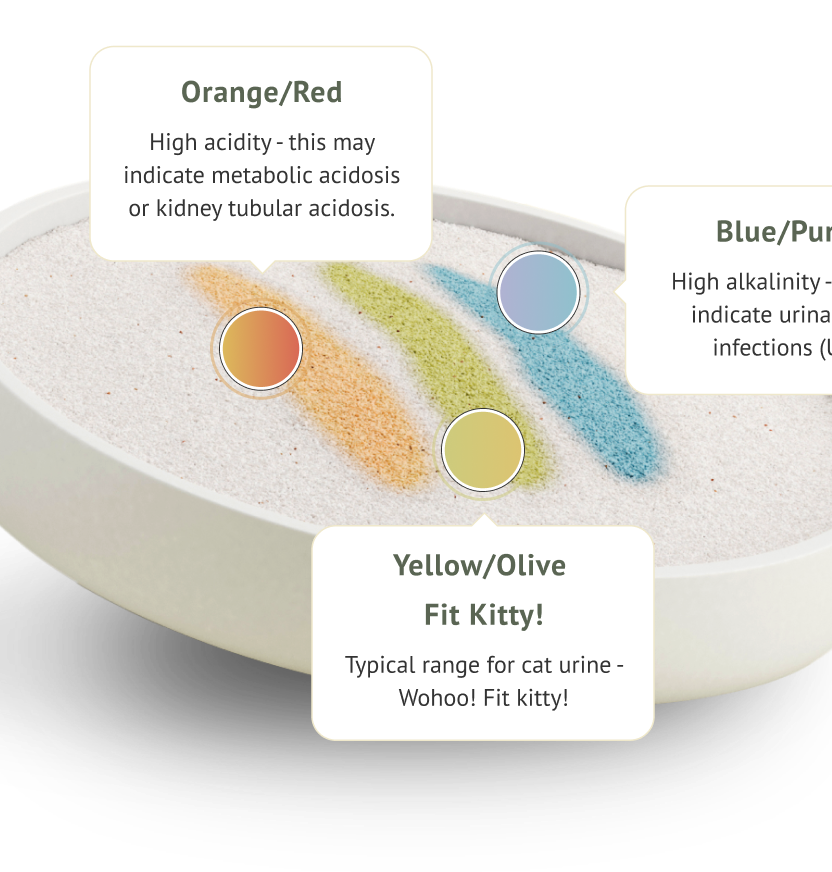 How it Works – Fit Litter UK