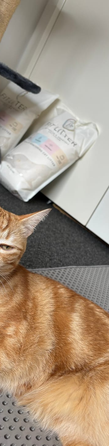 How it Works – Fit Litter UK